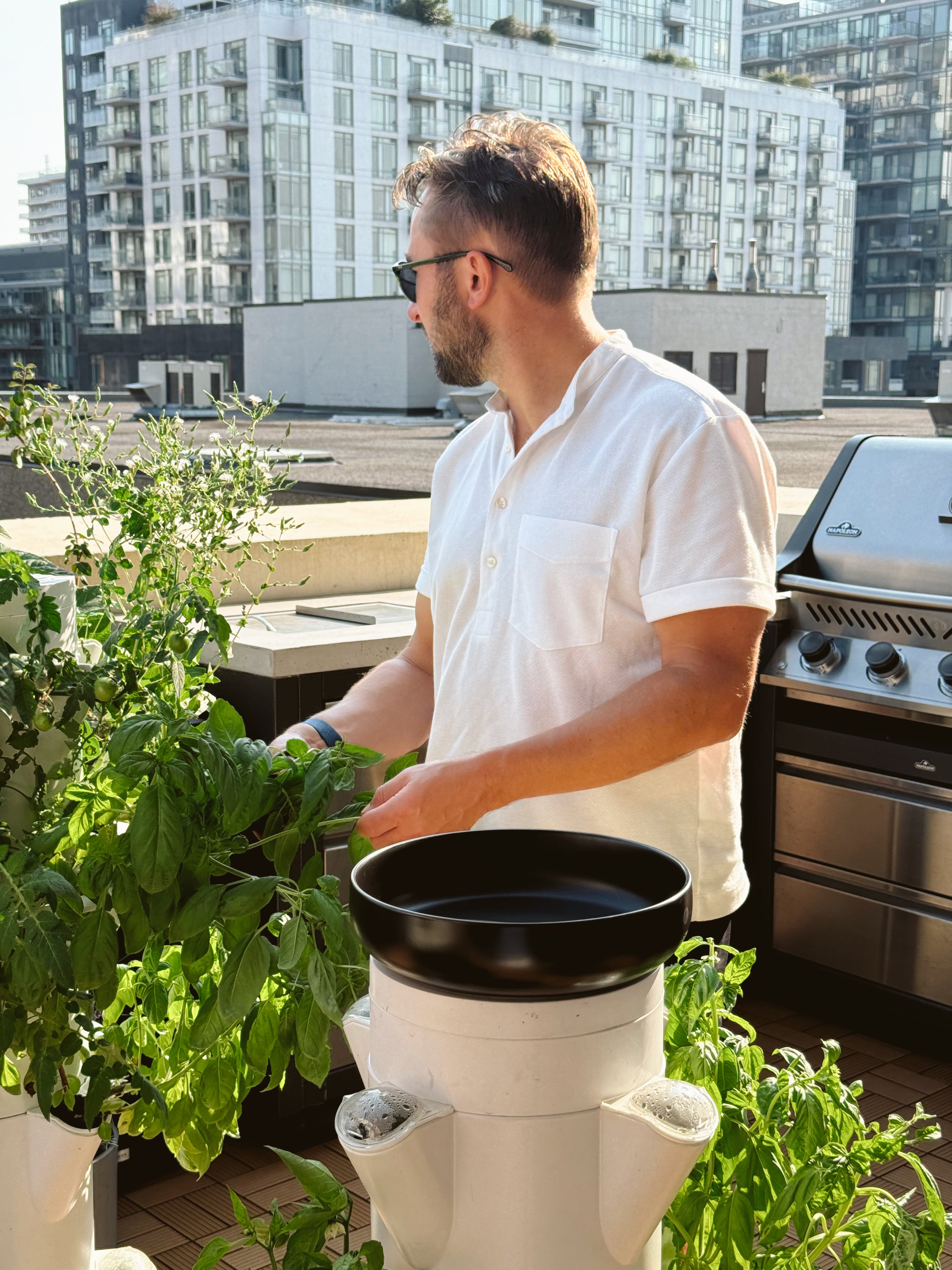 Grow, Host, and Delight: Why Stack & Sprout is Perfect for Home Entert