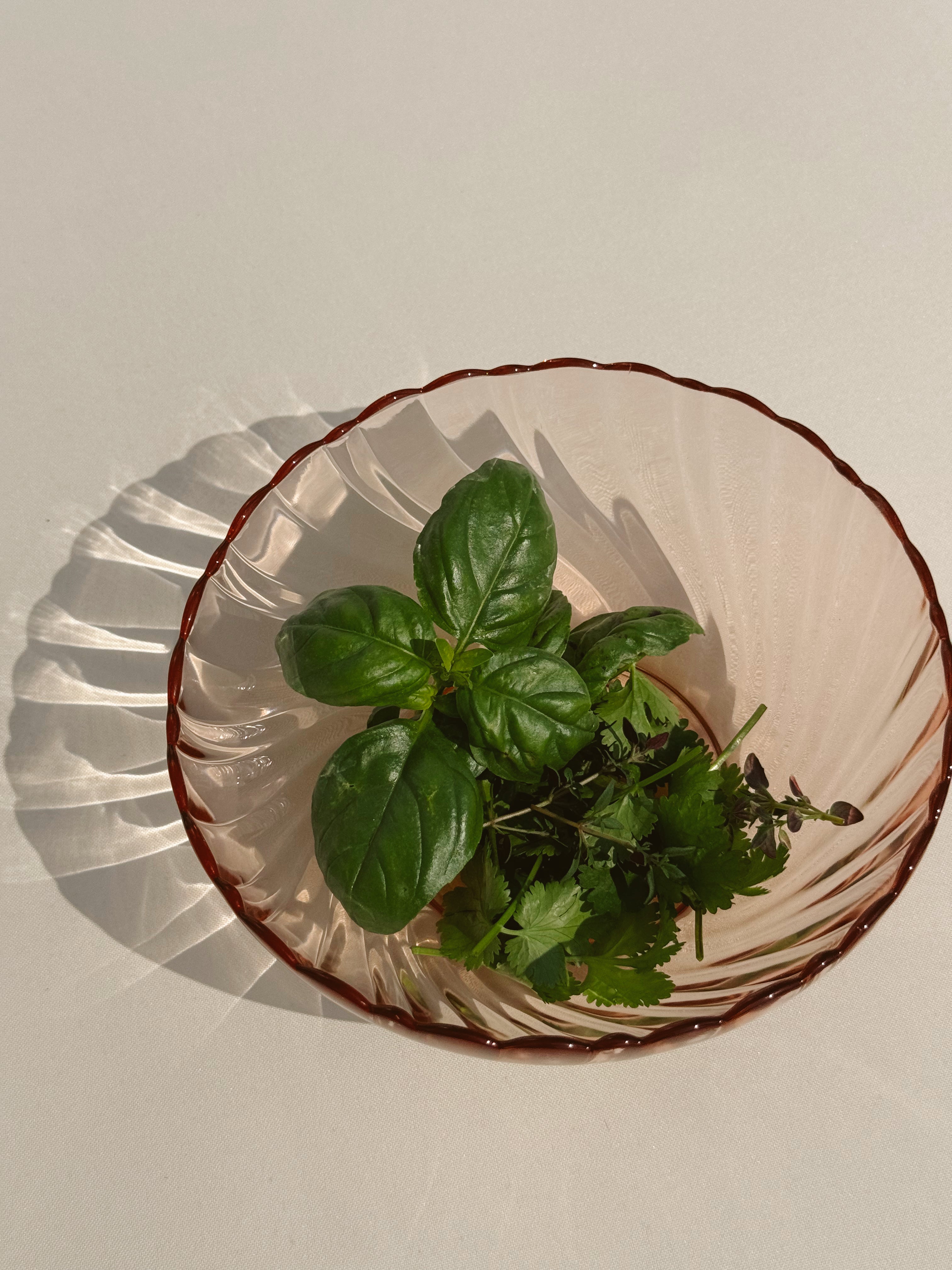 How to Create a Year-Round Vertical Garden: Seasonal Planting Guide ...