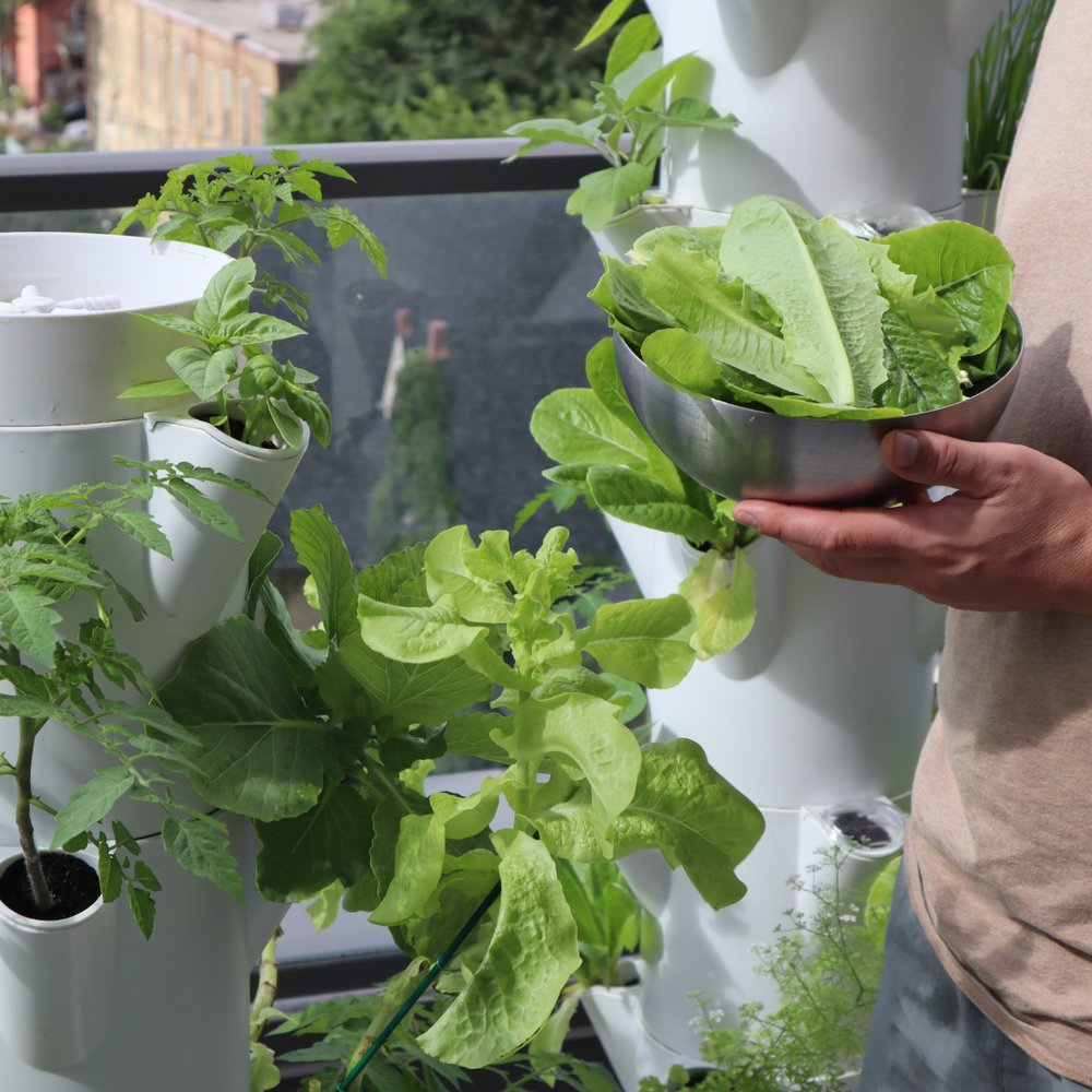 Stack & Sprout: The Vertical Garden Built For Urban Spaces