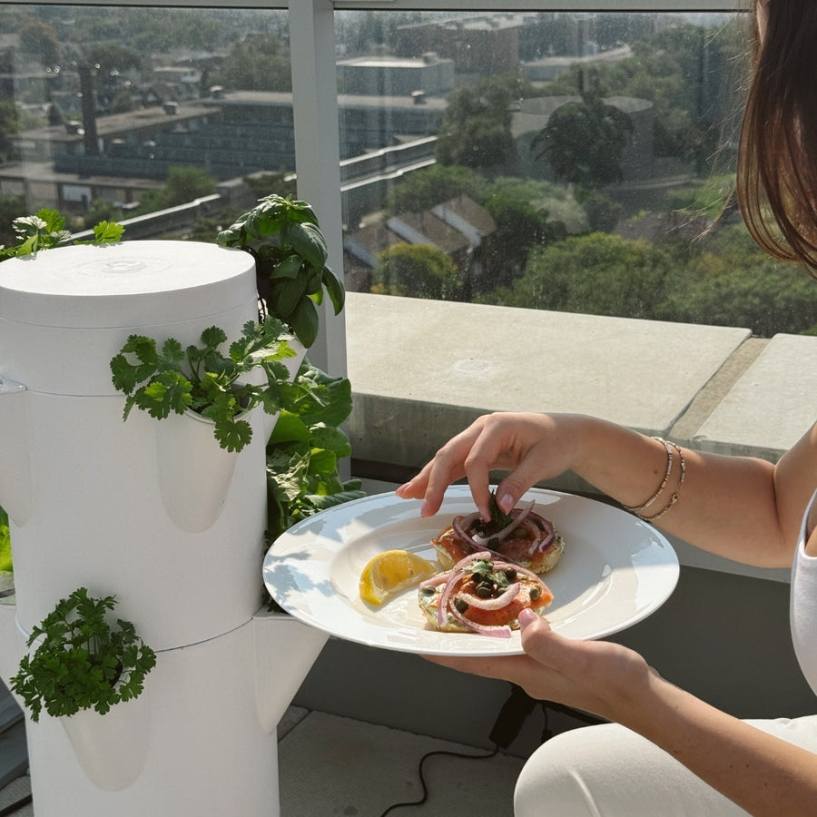 Stack & Sprout: The Easy-To-Use Vertical Garden For Home