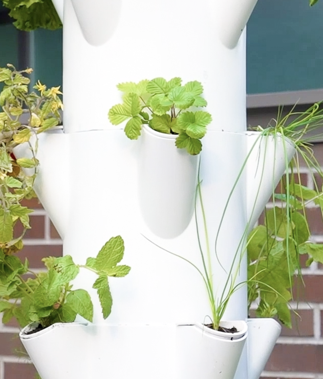 Stack & Sprout: The Vertical Garden Built For Urban Spaces