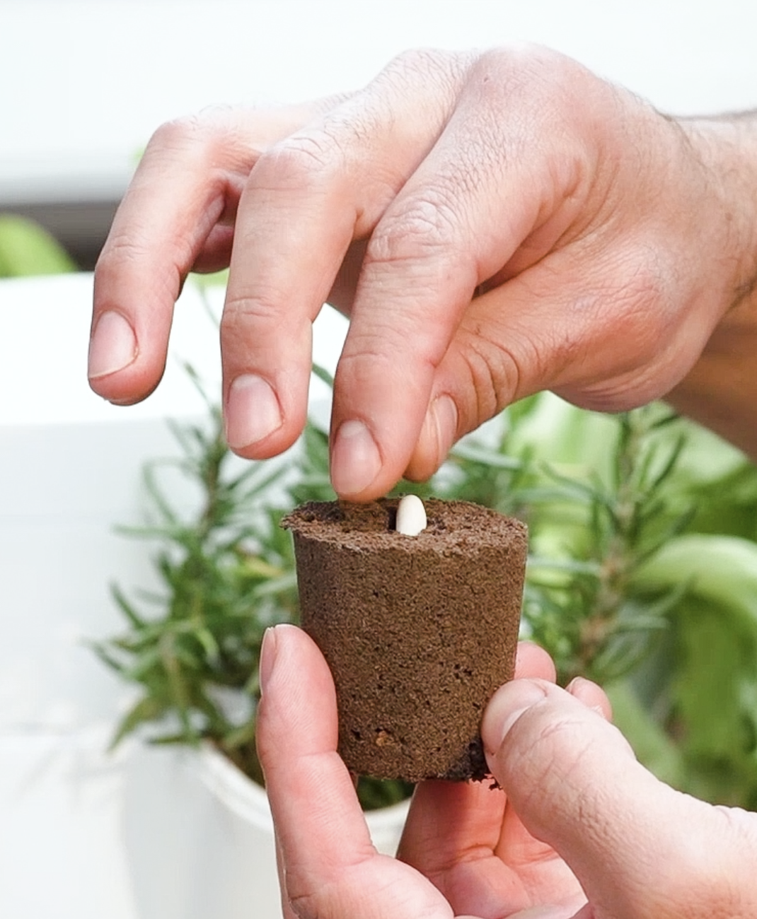 Stack & Sprout: The Vertical Garden Built For Urban Spaces