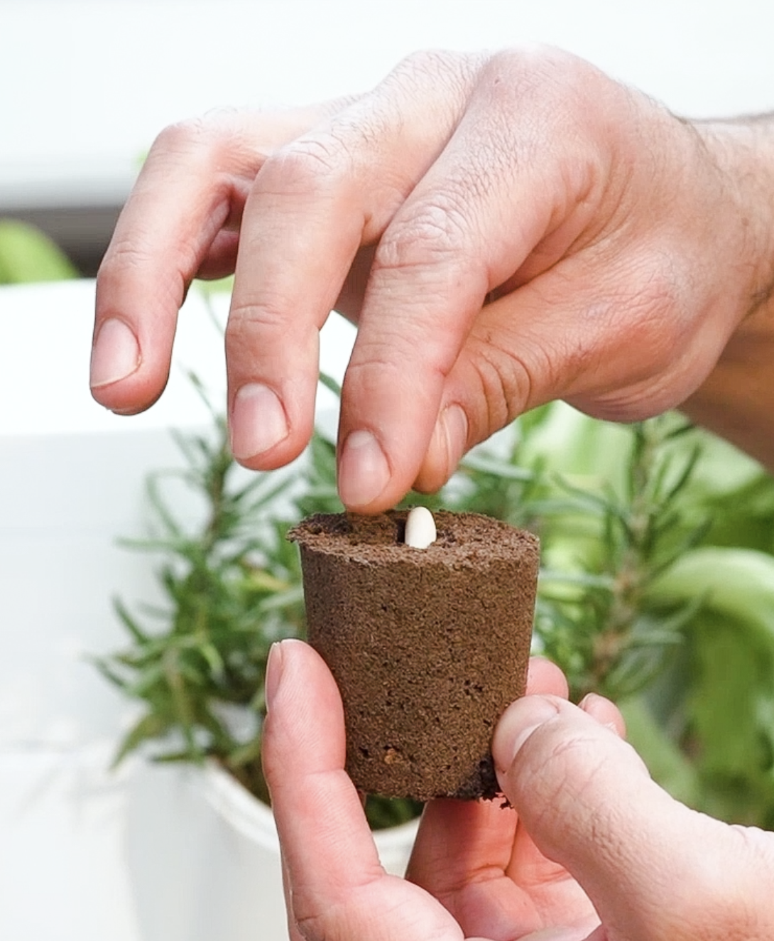 Stack & Sprout: The Vertical Garden Built For Urban Spaces