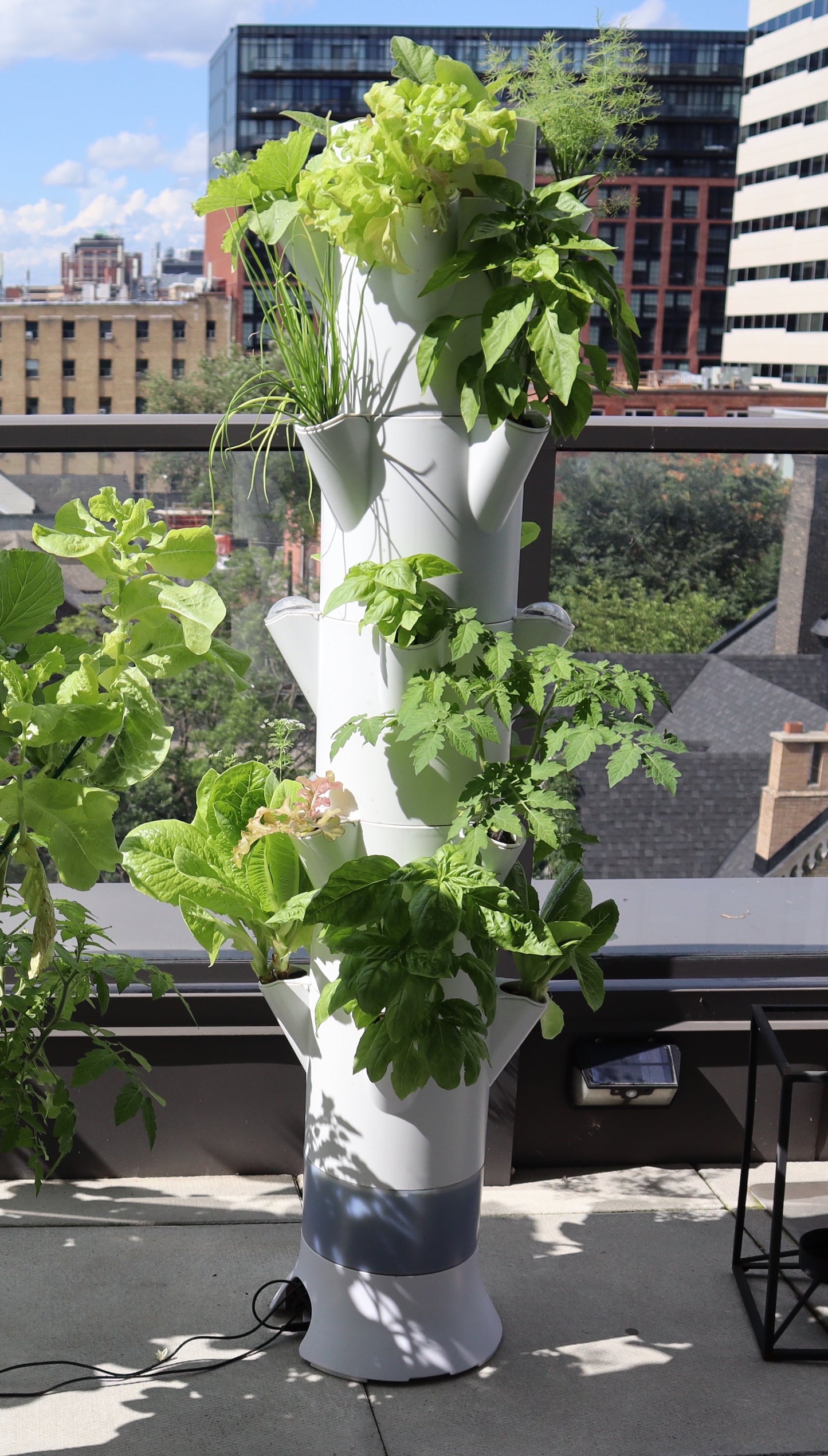 Additional Stackable Module – Stack & Sprout