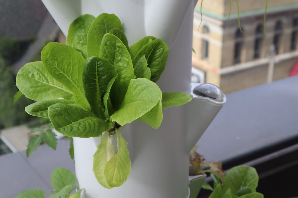 Additional Stackable Module – Stack & Sprout