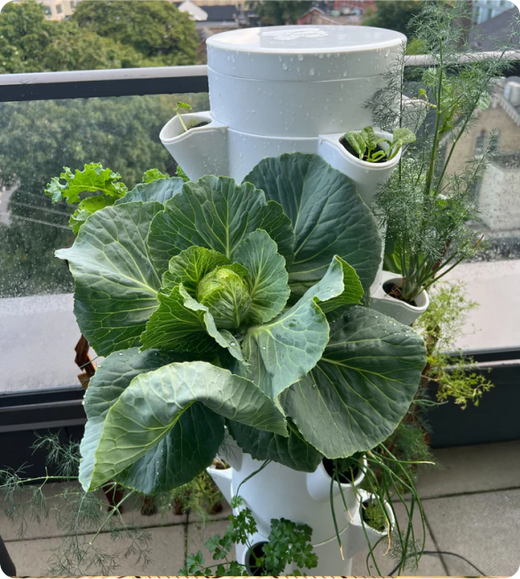 Stack & Sprout: The Vertical Garden Built For Urban Spaces