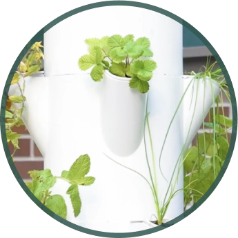 Stack & Sprout: The Vertical Garden Built For Urban Spaces