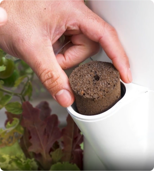 Stack & Sprout: The Easy-To-Use Vertical Garden For Home