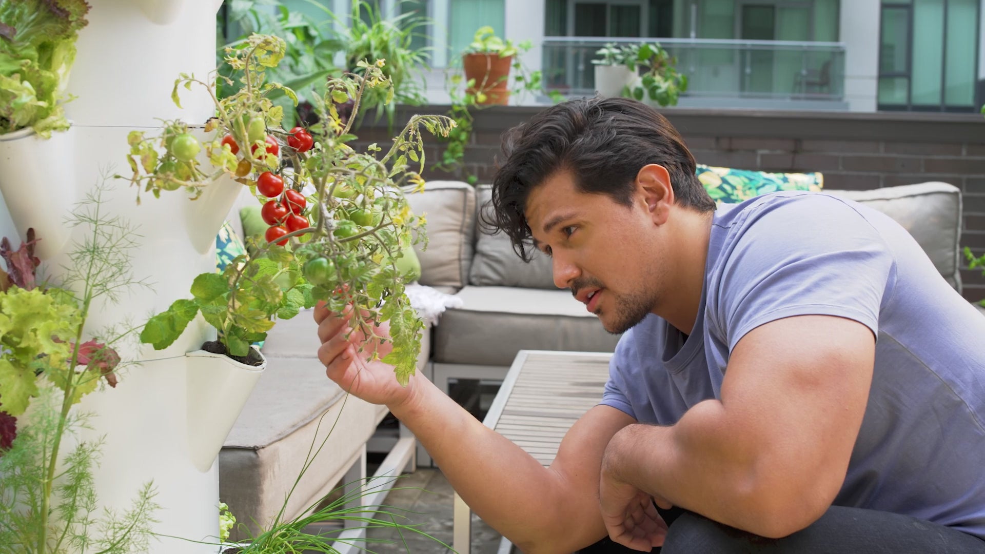 Stack & Sprout: The Vertical Garden Built For Urban Spaces